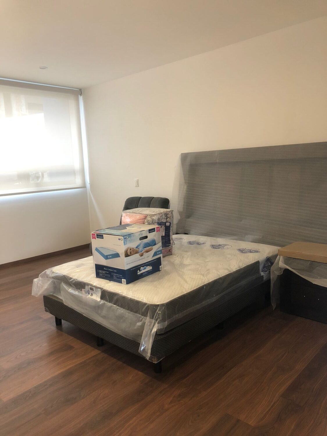 290cb7be-4c3a-4de3-9292-1ad56568e2a8 – BISEF